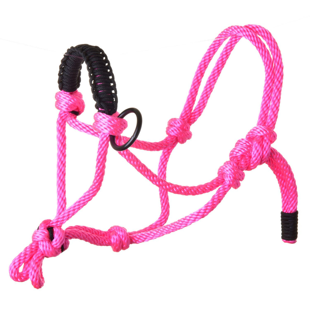 Rope halter Pink– Hobby Horse LarDen
